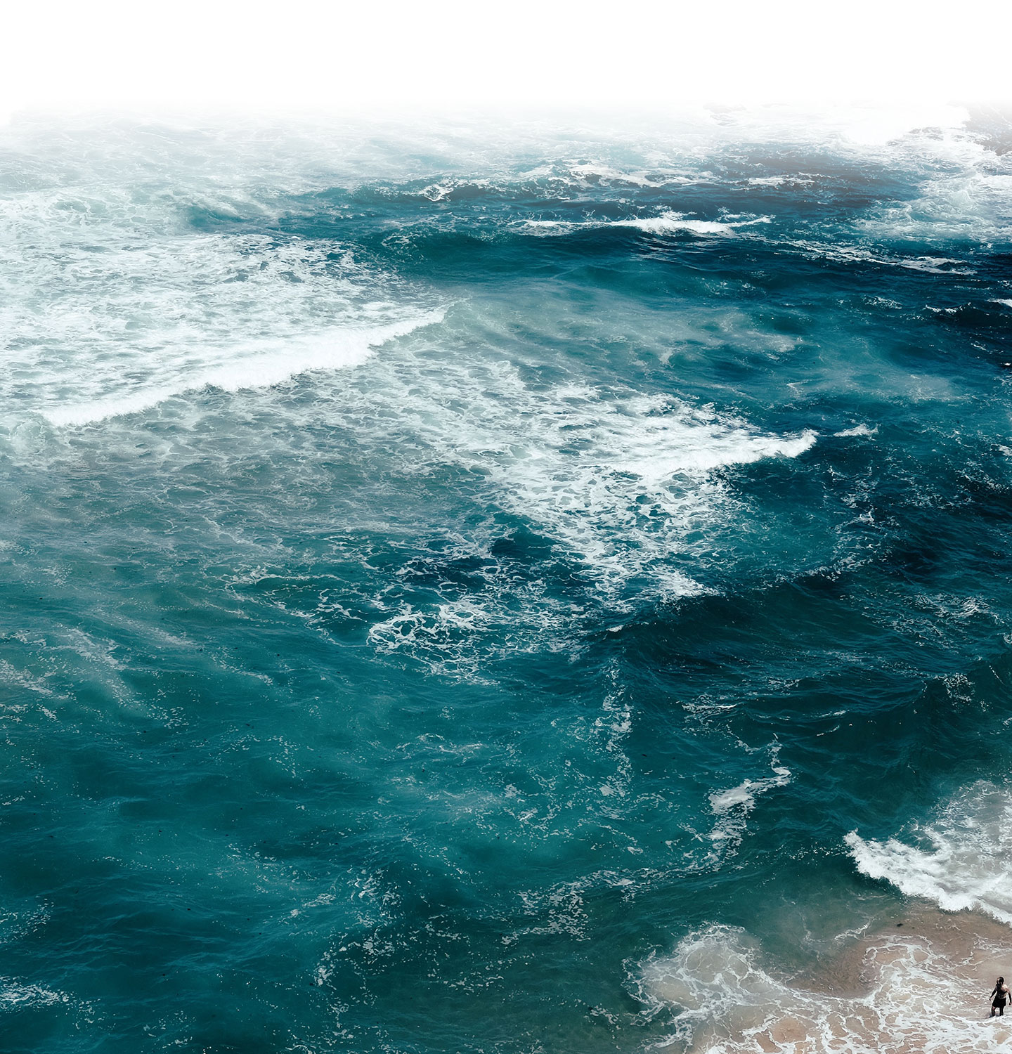 CAS Disclosure Statement Preparation - Victura Consulting